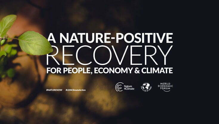 ::EXCLUSIVE:: Bending the curve with nature positive recovery - The ...