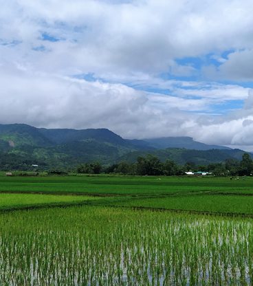 The Frontier Manipur - The Mirror of Manipur || Fast, Factual and Fearless.