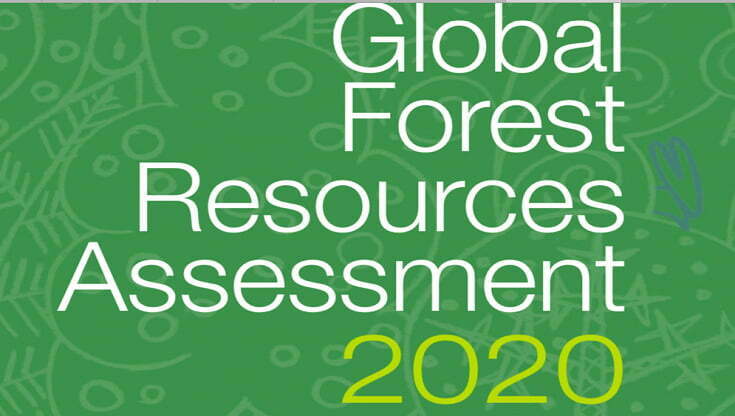 Sustaining forest resources to meet global targets - The Frontier Manipur