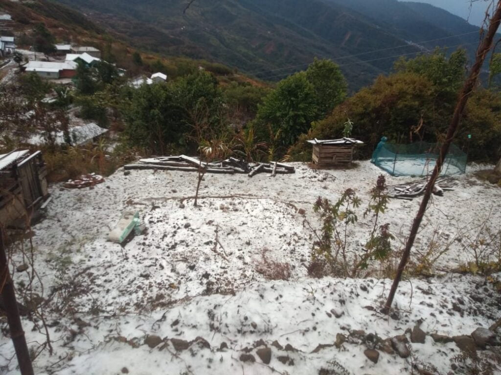 Nature-based solutions key to climate issues: Study - The Frontier Manipur