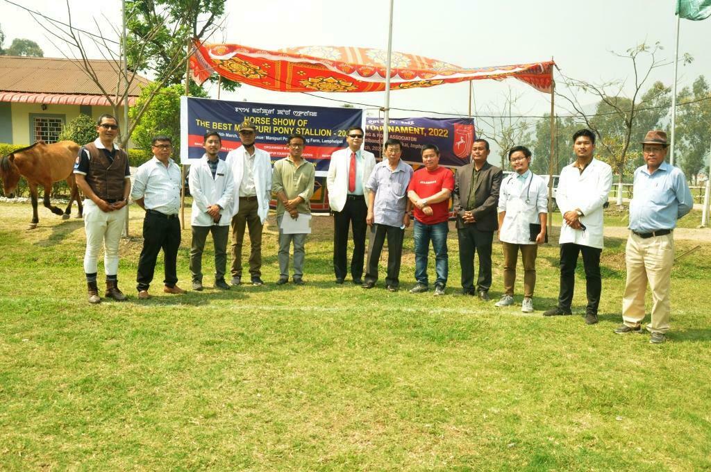 Stallion Poirou declared the Best Manipur Pony Stallion 2022 - The ...