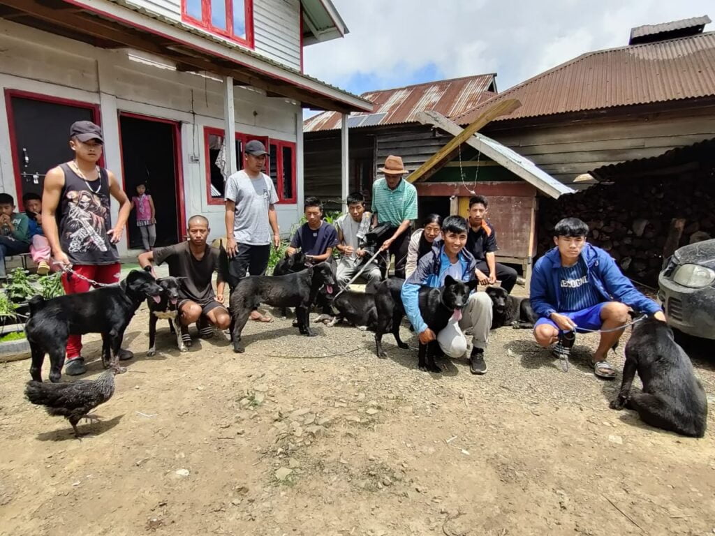 53 Haofa dogs receive anti-rabies vaccination in Ukhrul - The Frontier ...