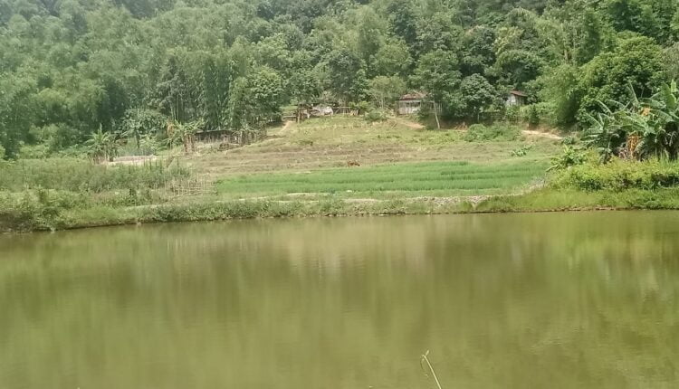 The Frontier Manipur - The Mirror of Manipur || Fast, Factual and Fearless.