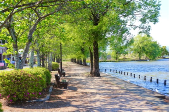 Towards Sustainable Urban And Peri Urban Forestry The Frontier Manipur