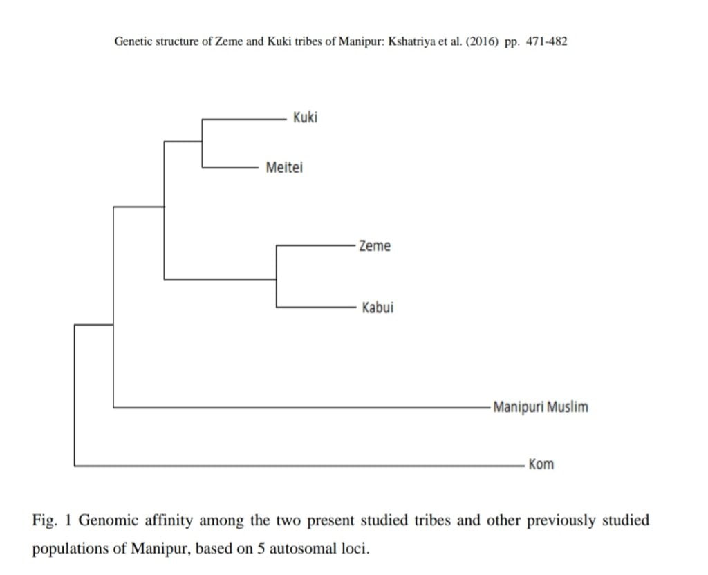 Manipur Ethnic Crisis: A tree’s greatest strength lies in its roots ...