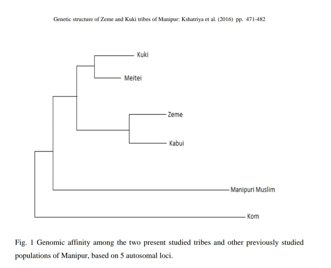 Manipur Ethnic Crisis: A tree’s greatest strength lies in its roots ...